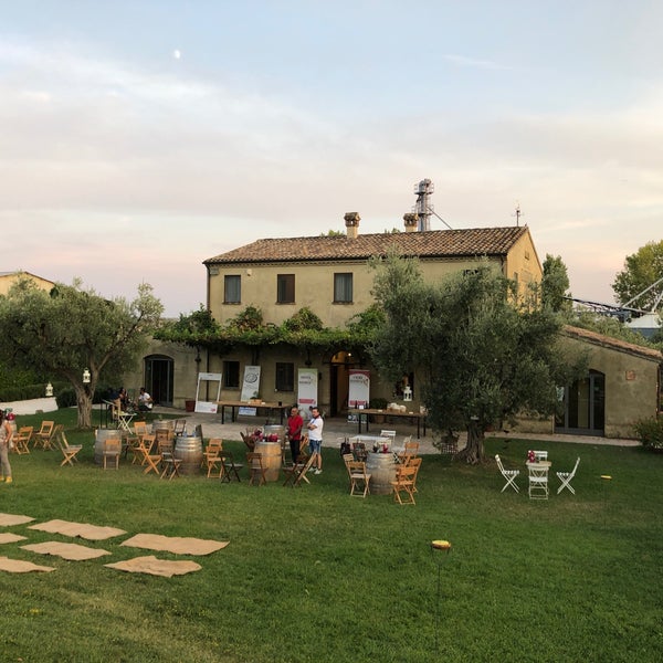 Azienda Agraria Guerrieri - Piagge, Marche