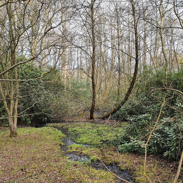 Sutton Coldfield Park - 2 tips