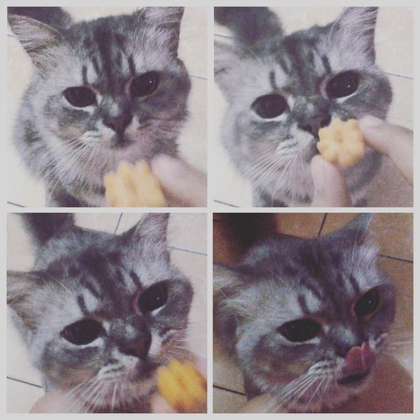 Condong Catur - 46 tips from 422 visitors