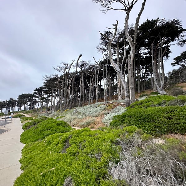 Photos at Sutro Heights Park - Sutro Heights, San Francisco, CA - 48th Ave