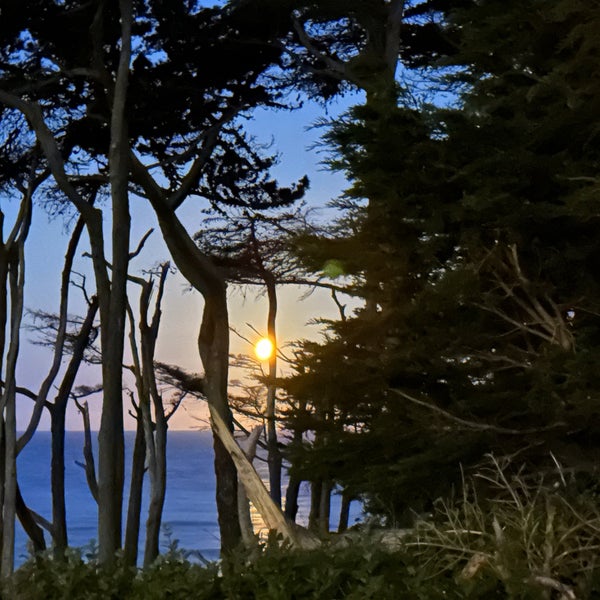 Photos at Sutro Heights Park - Sutro Heights, San Francisco, CA - 48th Ave