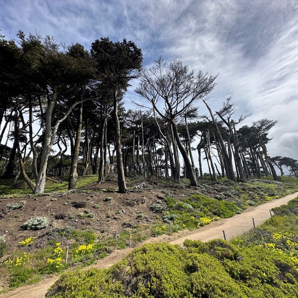 Photos at Sutro Heights Park - Sutro Heights, San Francisco, CA - 48th Ave