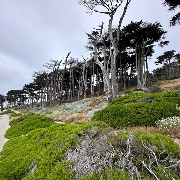 Photos at Sutro Heights Park - Sutro Heights, San Francisco, CA - 48th Ave
