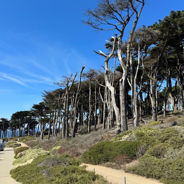 Photos at Sutro Heights Park - Sutro Heights, San Francisco, CA - 48th Ave