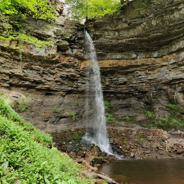 Hardraw Force Falls - Waterfall