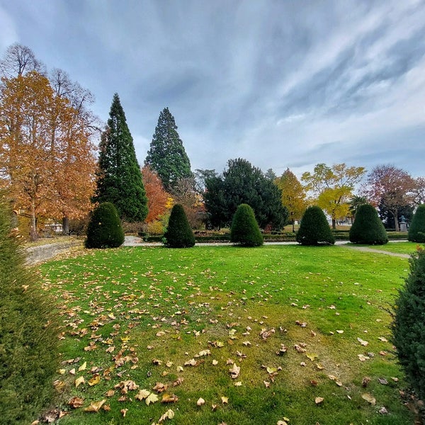 Stadtgarten - Park
