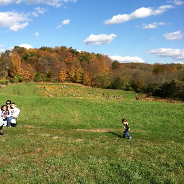 Ideal Farm & Garden - 4 tips