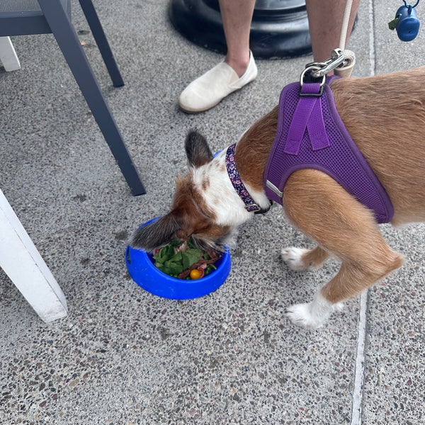 Sally's Fish House & Bar - Marina - 56 tips