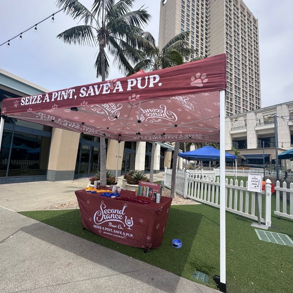 Sally's Fish House & Bar - Marina - 56 tips