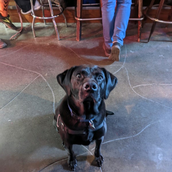 Randy's Place - Dive Bar in Ingleside