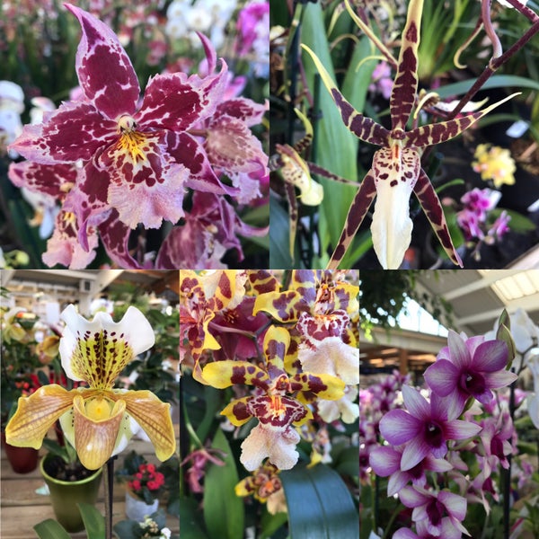 Jardiland - Gavà, Catalunya