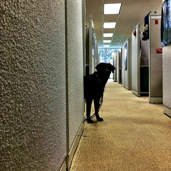 Photos at Intel - Jones Farm Campus - Office in Northwest Hillsboro