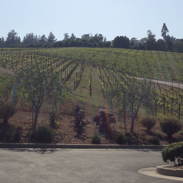 Black Ridge Vineyards - Los Gatos, CA