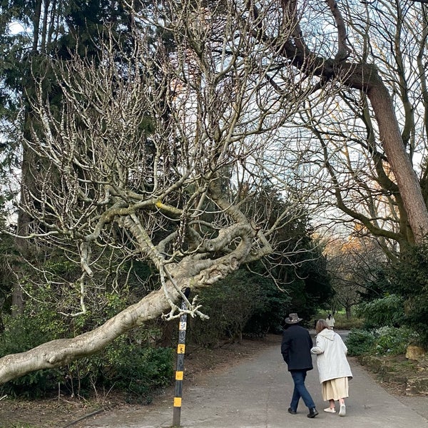 The Arboretum - 19 tips from 632 visitors