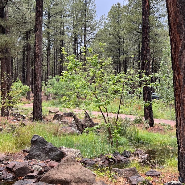 Arboretum at Flagstaff - Garden in Flagstaff