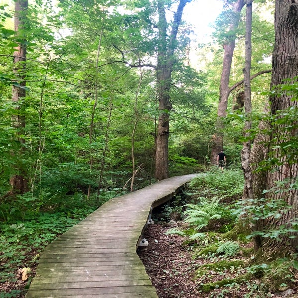 Leatherstocking Trail - Other Great Outdoors