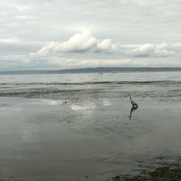 Blue Ridge Beach Park - North Beach-Blue Ridge - Seattle, WA
