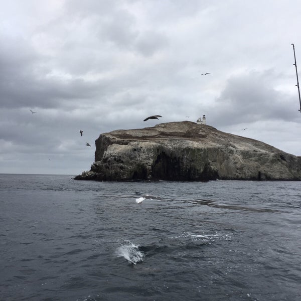 Anacapa Island - 1 tip