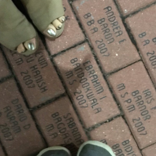 Photos at GWU University Yard - George Washington University - 5 tips