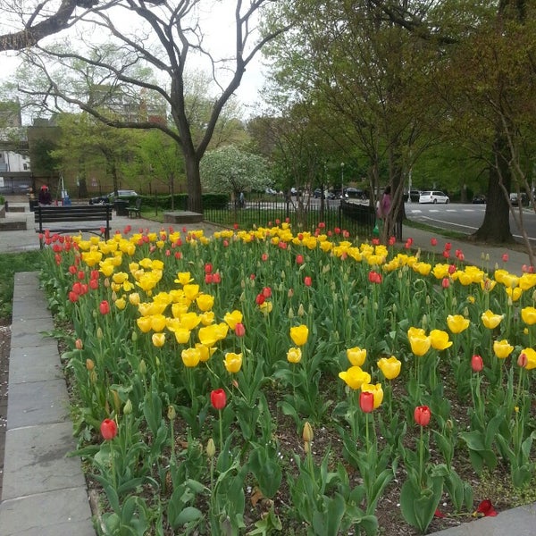 Rabaut Park - Park in Adams Morgan