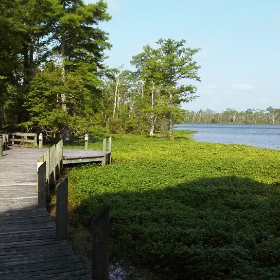 Pocosin Lakes National Wildlife Refuge - Other Great Outdoors