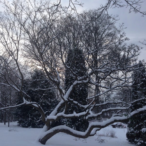 Botanisk Hage og Museum - Botanical Garden in Oslo