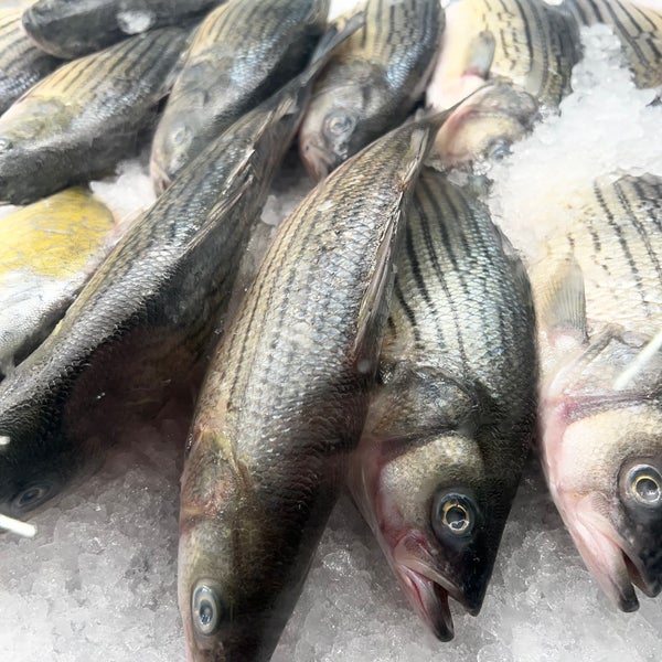 ABC Seafood - Fish Market