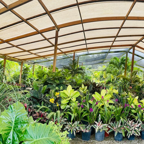 Southwest Ranches Farmer's Market - Farmers Market in Cooper City