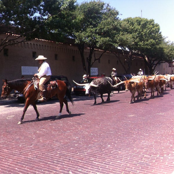Stockyard Cattle Drive - 18 tips