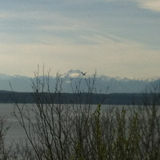 Magnolia Boulevard Viewpoint - Scenic Lookout in Seattle