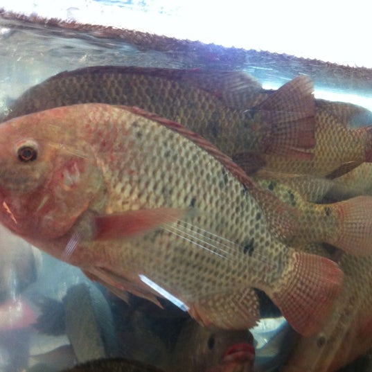 Photos at ABC Seafood - Fish Market