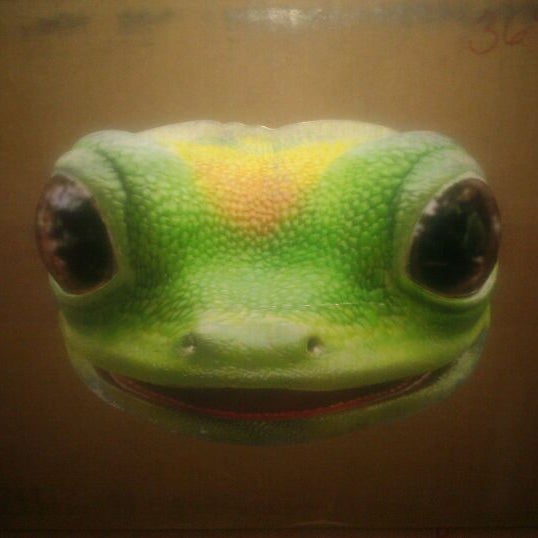 GEICO Insurance Agent - Orlando, FL