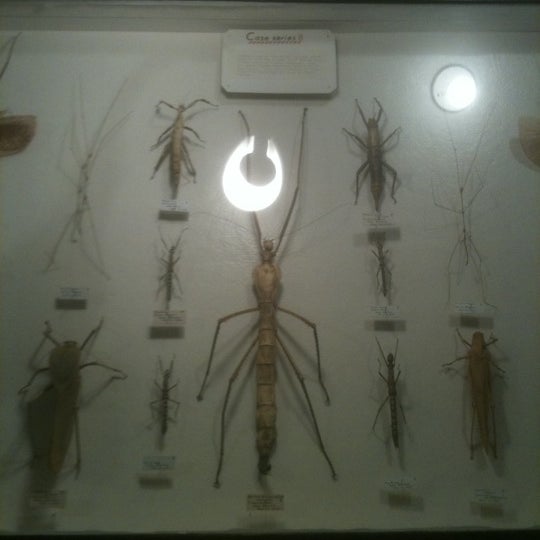 The May Museum - Science Museum in Colorado Springs