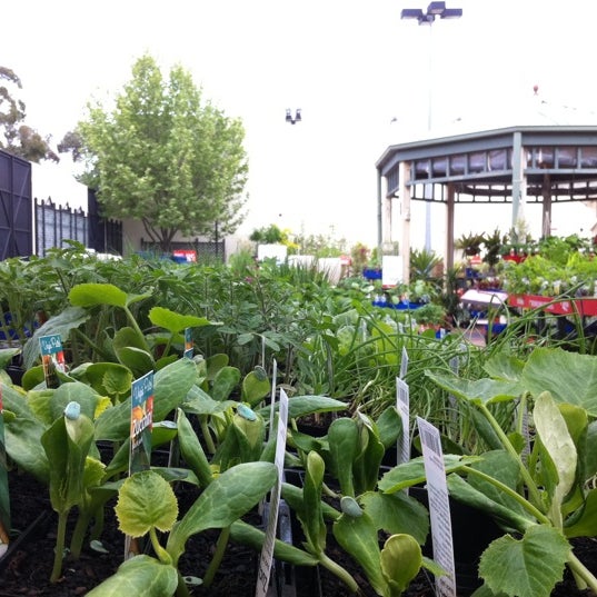 Flower Power - Garden Center