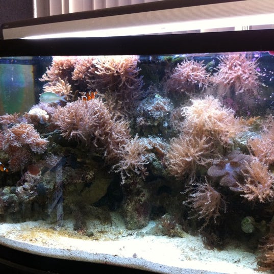 Photos at The Aquarium Depot - Pet Supplies Store in Randallstown