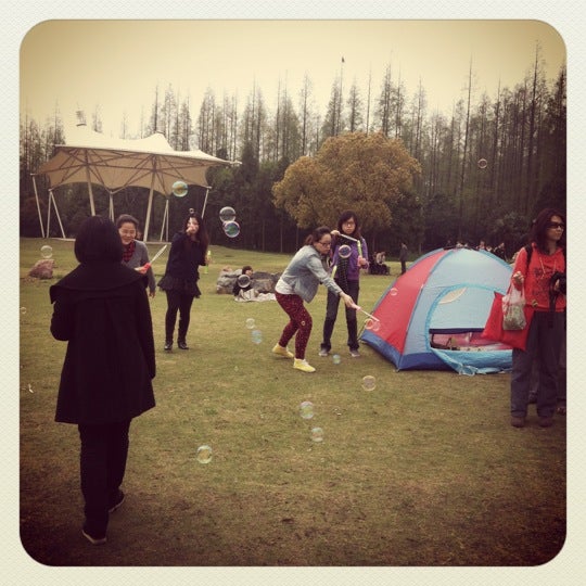 Dongping National Forest Park (东平国家森林公园) - Park in Chongming