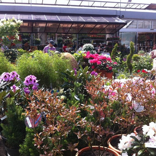Faszinierend Schleys Blumenparadies Velbert Gmbh Ebenbild