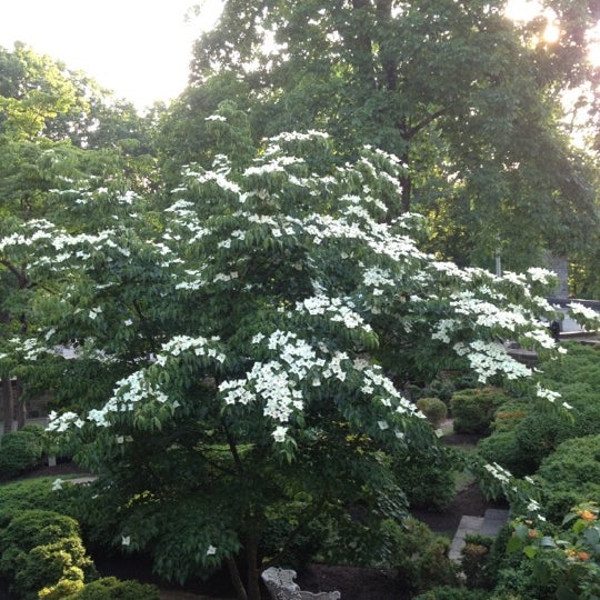 Maryvale Castle - Event Space in Brooklandville