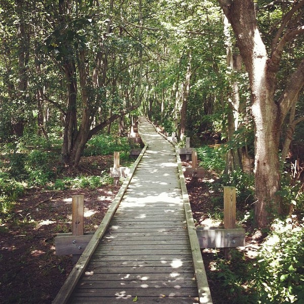 Abbott's Mill Nature Center - Milford, DE