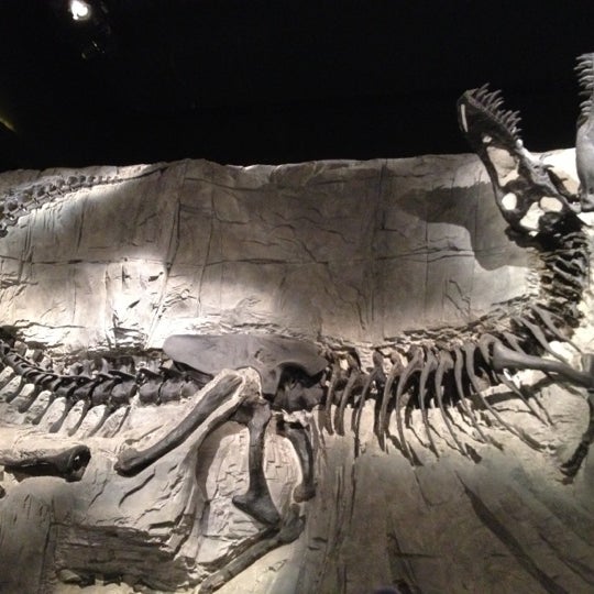 Royal Tyrrell Museum of Paleontology - Science Museum in Drumheller