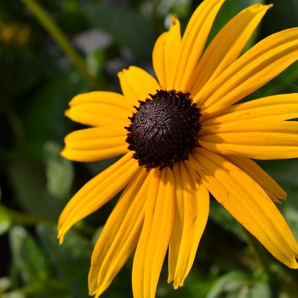 Photos at Longacres Garden Centre - Bagshot, Surrey