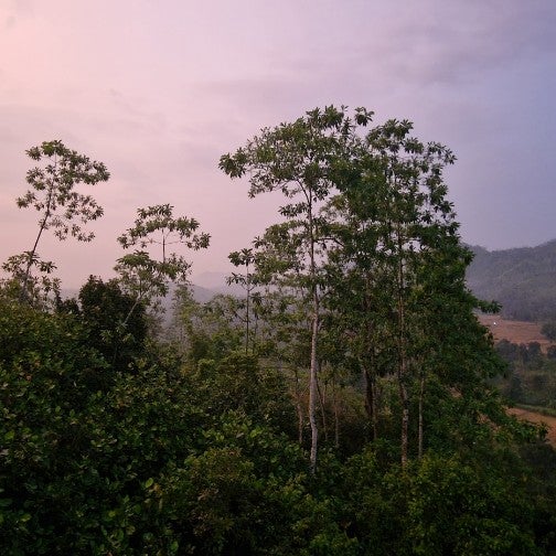 The Ark - Resort in Mathugama