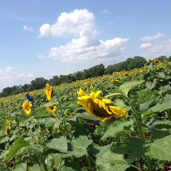 Poolesville, Maryland - 7 tips