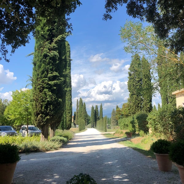 Avignonesi Winery - Vineyard