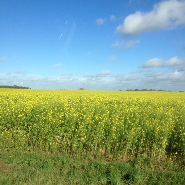 Gingelom - Town in Gingelom