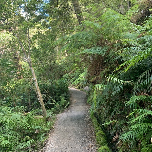 Kepler Track - Hiking Trail