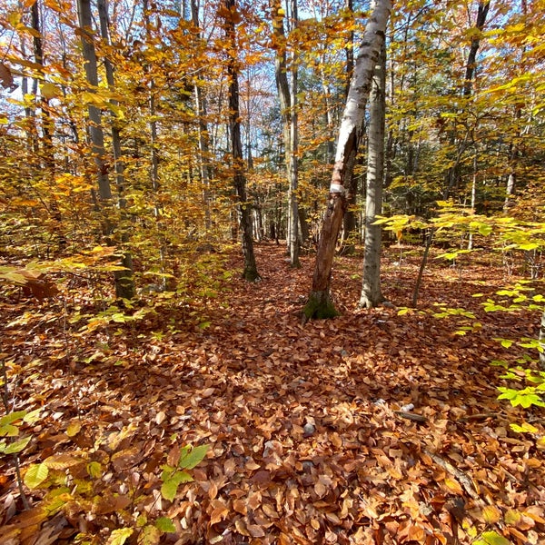 Kenneth L. Wilson Public Campground & Day Use Area - Mount Tremper, NY
