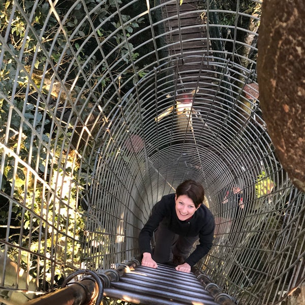 O'Reilly's Tree Top Walk - Hiking Trail