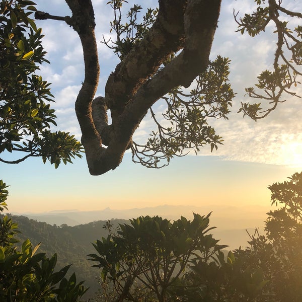 Photos at O'Reilly's Tree Top Walk - Hiking Trail