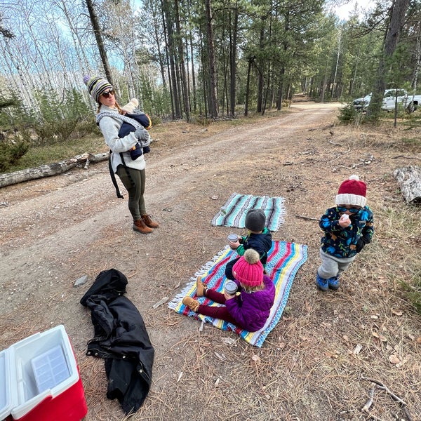 Black Hills National Forest - Rockerville, SD